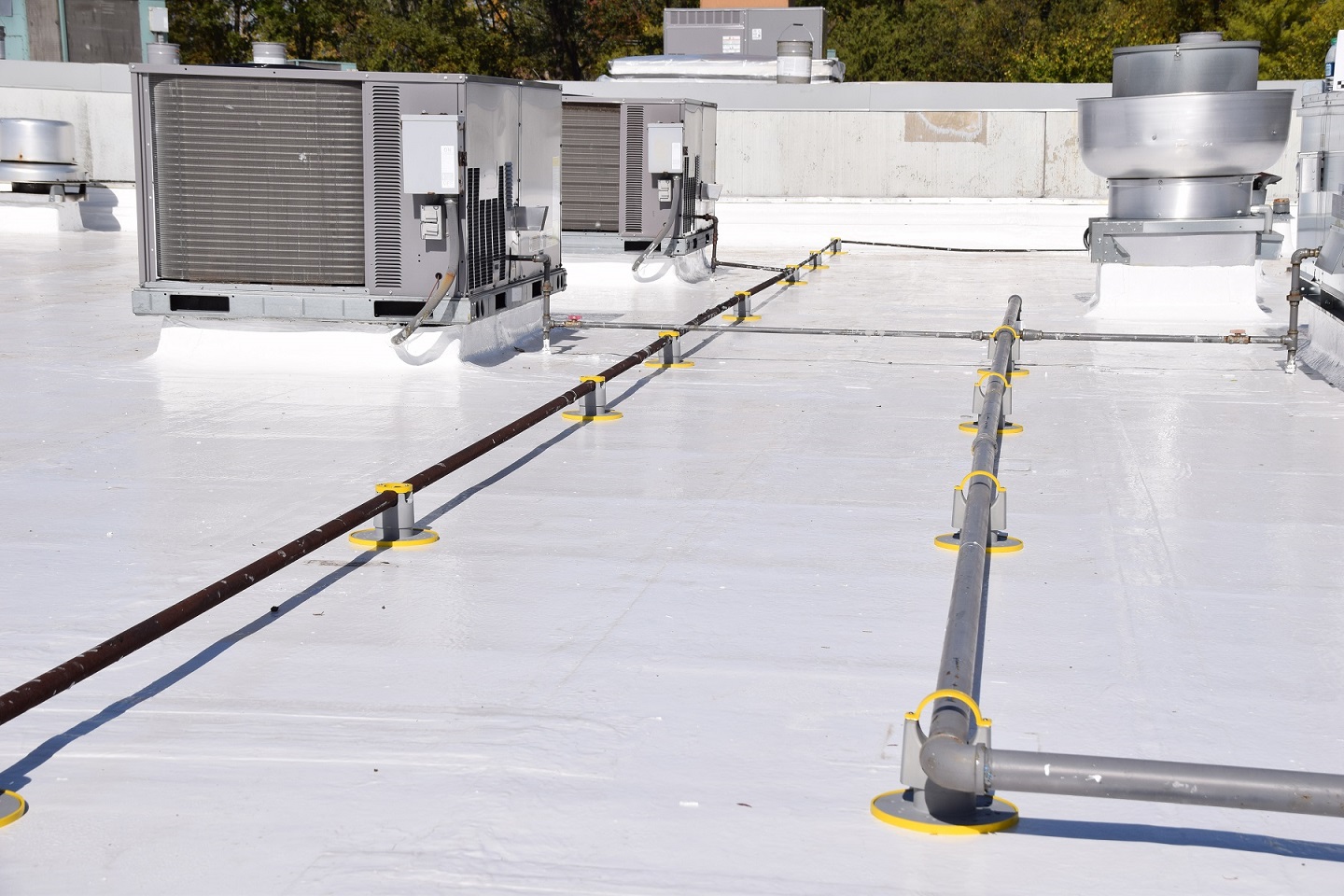 Introducing Siphonic Roof Drainage: Common in Europe, now gaining ...