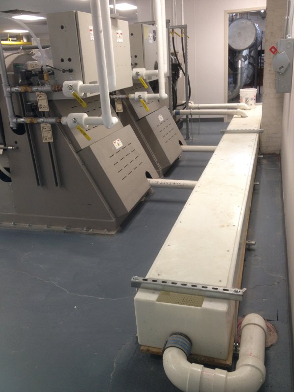 Commercial Washing Machine Trench Drain - Best Drain Photos Primagem.Org