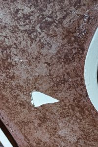 Figure-1 - Construction Specifier